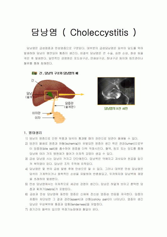 담낭염 간호진단 - GB GS case