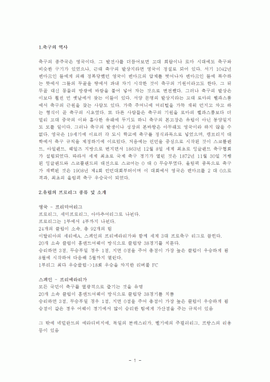 유럽축구 레포트 자료