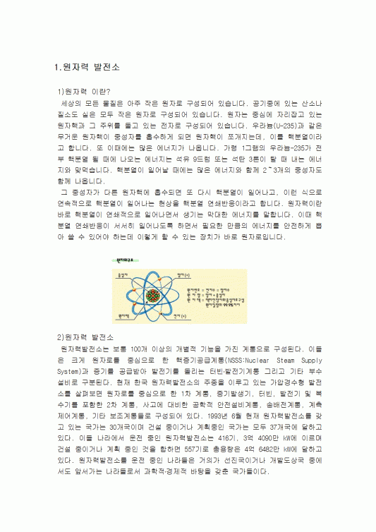 원자력 발전소 방사선 폐기물 처리 시설