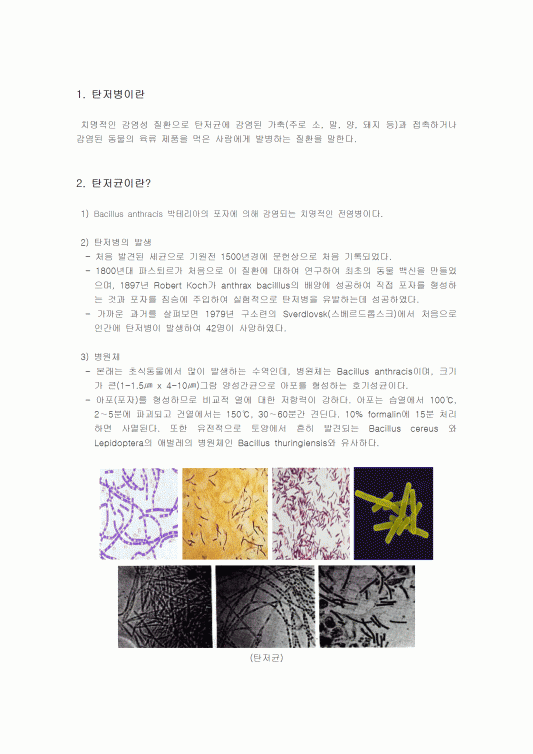 탄저병(탄저균)에 대해서