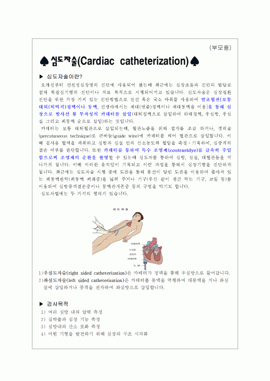 심도자술교육안