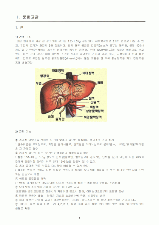 간염 [hepatitis] / CASE 입니다