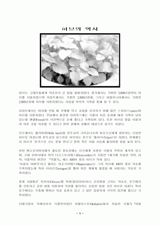 허브의 역사와 종류 및 샐러드 종류