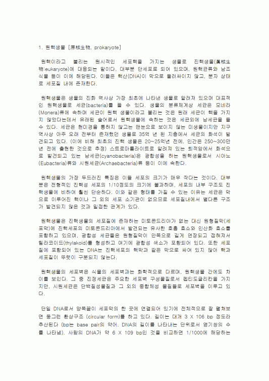 원핵생물과 진핵생물
