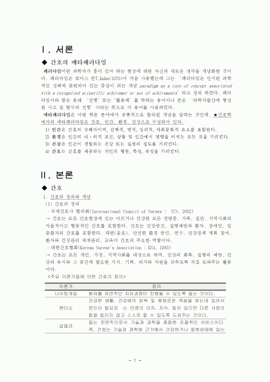 간호의 메타패러다임
