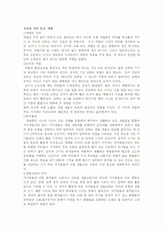 한국의갯벌 요약정리