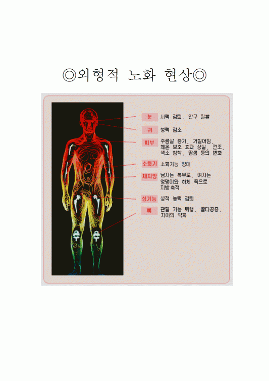내 외부적 노화