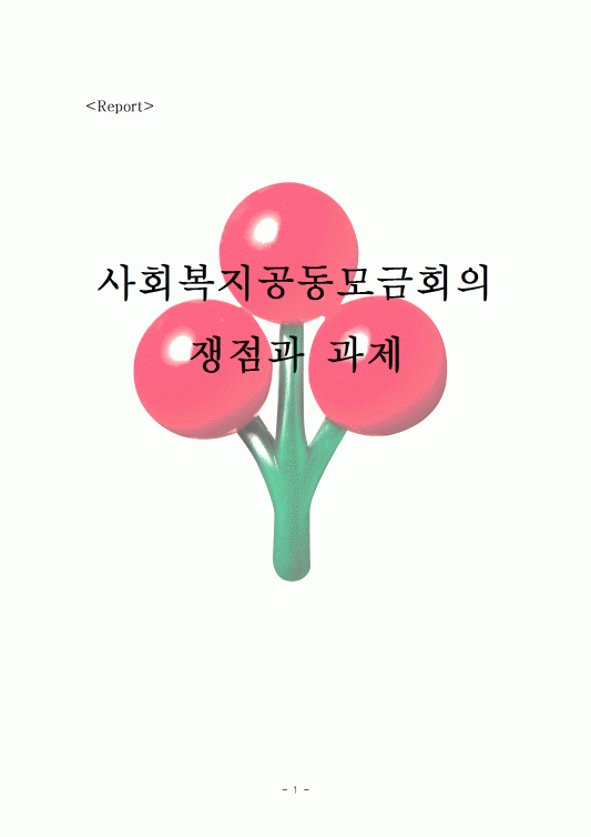 사회복지공동모금회의 쟁점과 과제