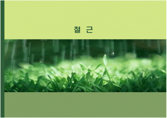 철근콘크리트(구조,배근,슬래브,거푸집)
