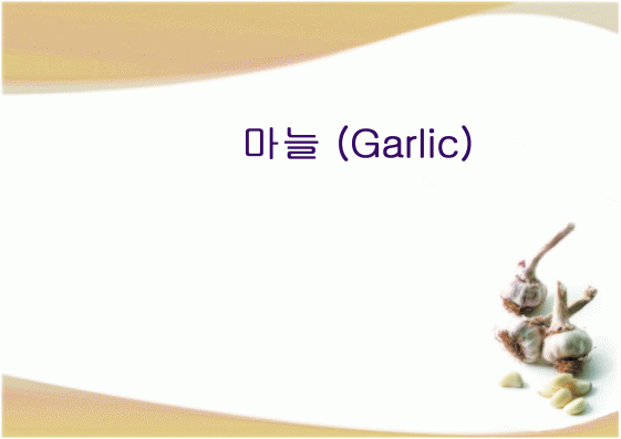 마늘(Garlic) 레포트 자료