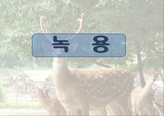 사슴과 녹용 레포트 자료