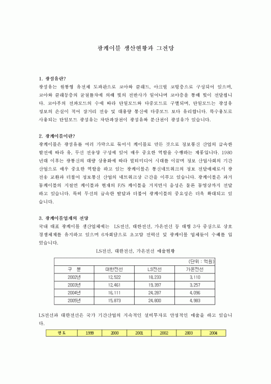 광케이블의 생산현황과 전망에 대하여