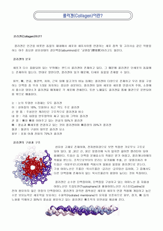 [병리학] 콜라겐에 대하여(분포, 구성, 구조, 노화, 피부 등에 대해)