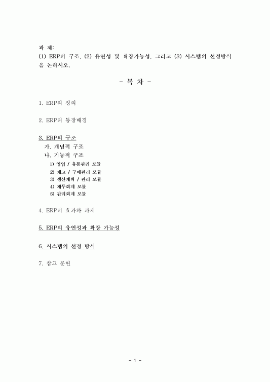 ERP의 확장 가능성