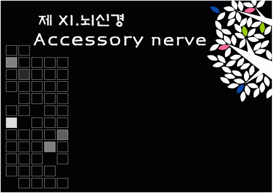 제 XI.뇌신경 Accessory nerve