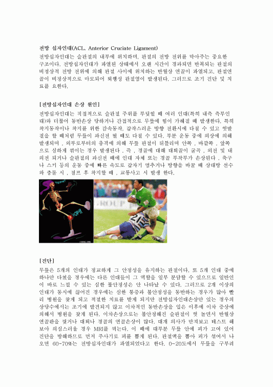 전방십자인대 , 후방십자인대 손상 및 치료