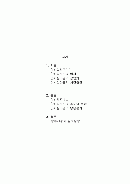 실리콘리포트