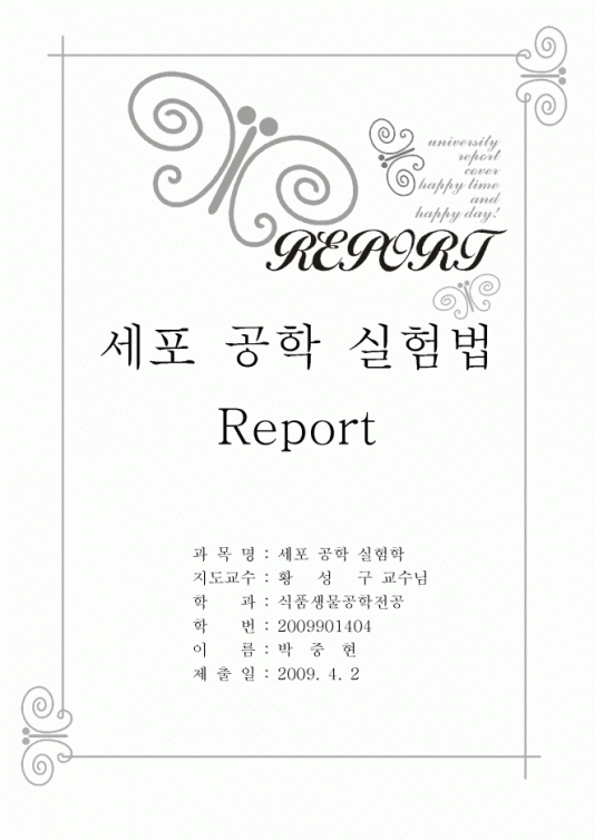 세포 공학 실험 전기영동(electrophoresis)