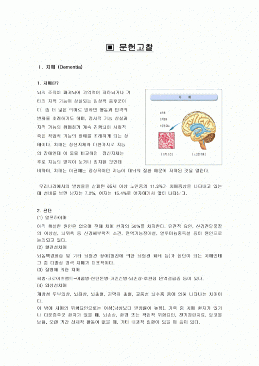 (노인간호)치매 파킨슨 뇌졸중 문헌고찰