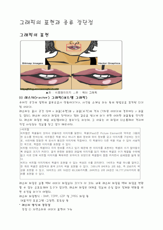 그래픽 이미지 표현 방식, 그래픽, 벡터, 래스터, 해상도, jpeg 등