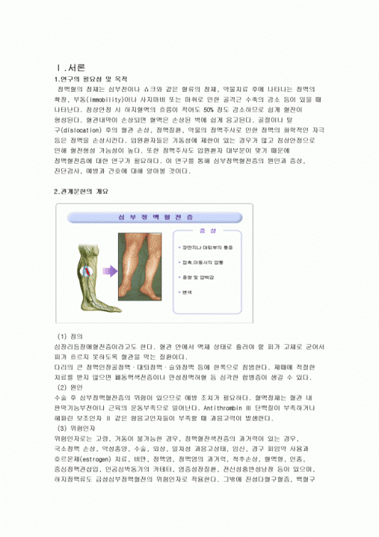 [성인간호학] 심부정맥혈전증(DVT)