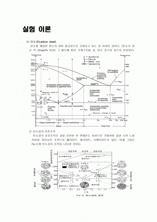 탄소강의 재료조직실험 이론과 방법