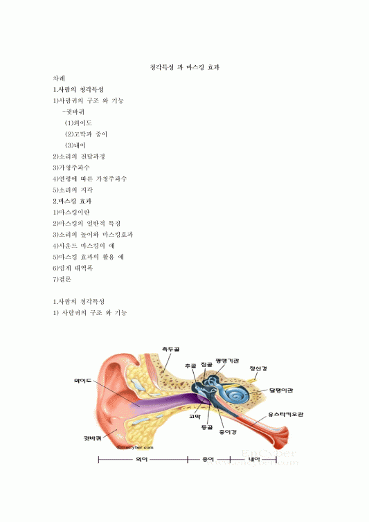 청각특성과 마스킹 효과