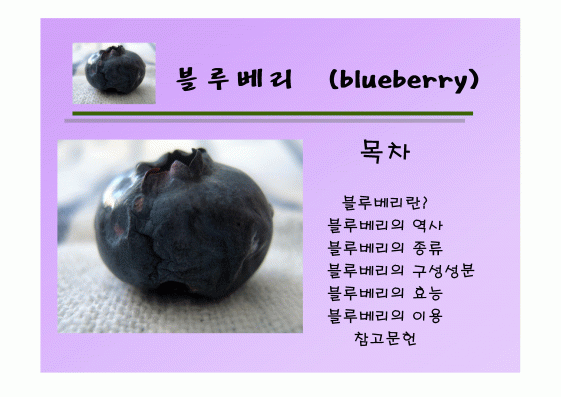 블루베리의 모든것