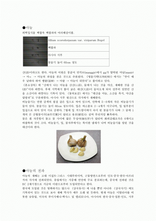 마늘에 대하여
