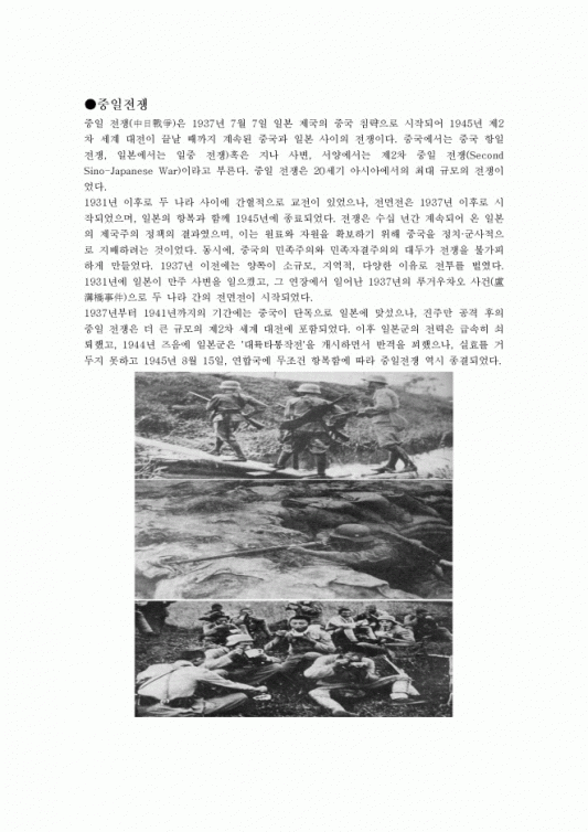 중일전쟁에 대한 고찰