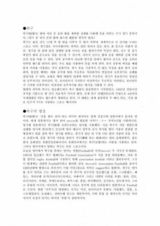 축구에 대한 고찰