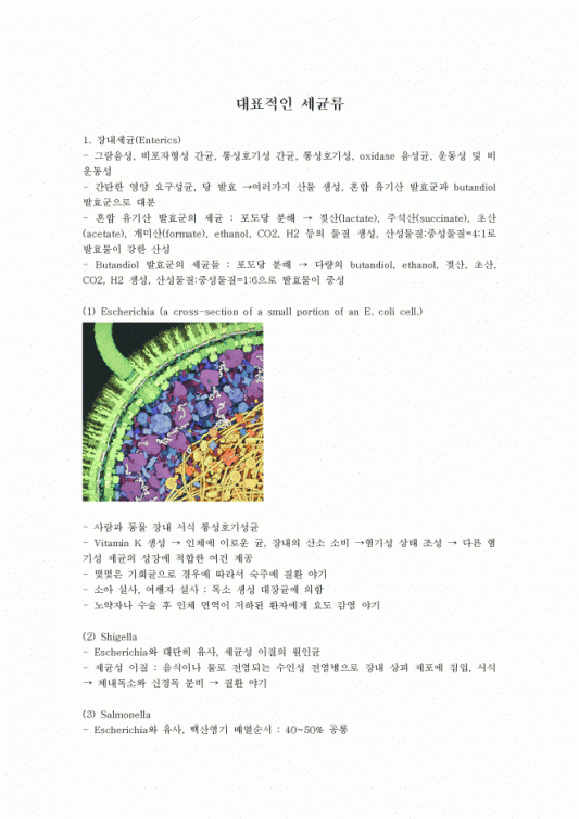 세균 (박테리아;대표적 세균류)