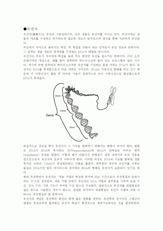 유전자에 관한 고찰