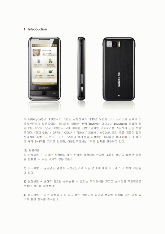삼성전자 애니콜의 중국시장 진출 마케팅 전략