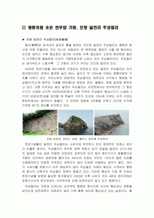 포항달전리 주상절리