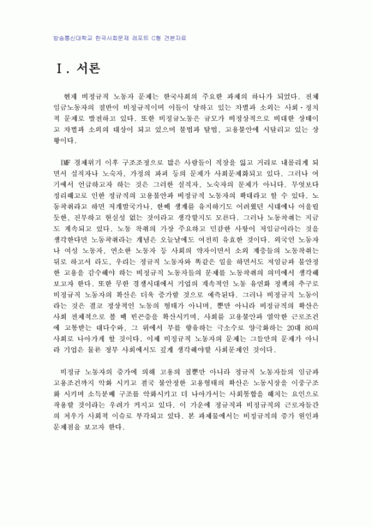2007년 1학기 한국사회문제 C형(비정규직문제)