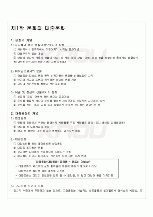 2009년 1학기 대중문화와 영화비평 출석대체시험 핵심체크