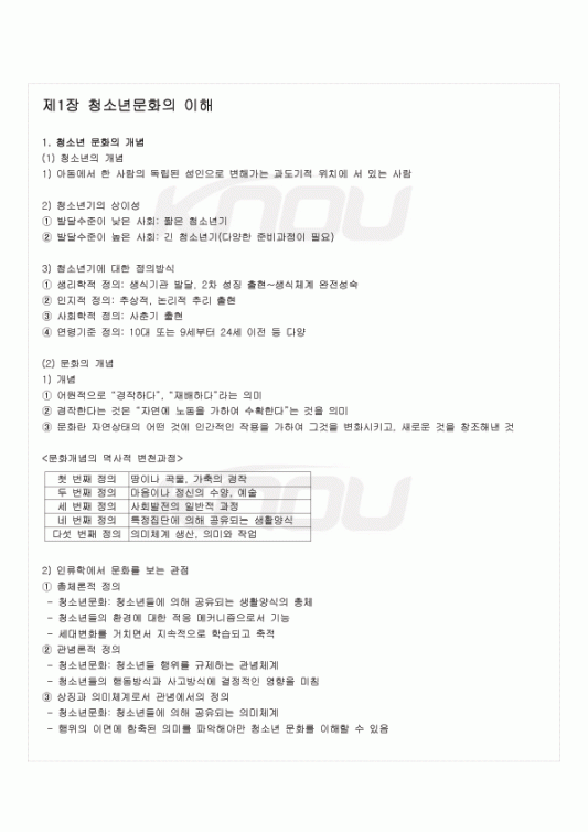 2009년 1학기 청소년문화 출석대체시험 핵심체크