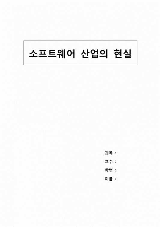 우리나라 소프트웨어 산업의 현실(레포트)