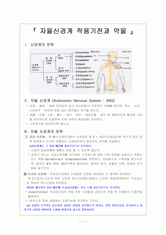 자율신경계와 응급약물