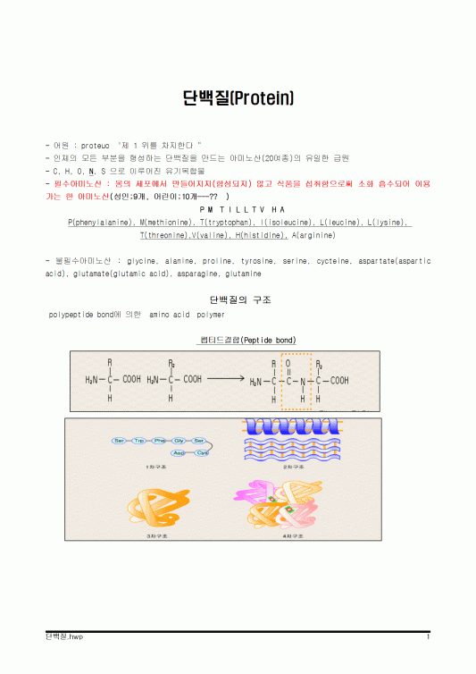 간호와영양 단백질