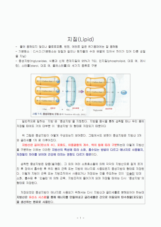 간호와영양 지방