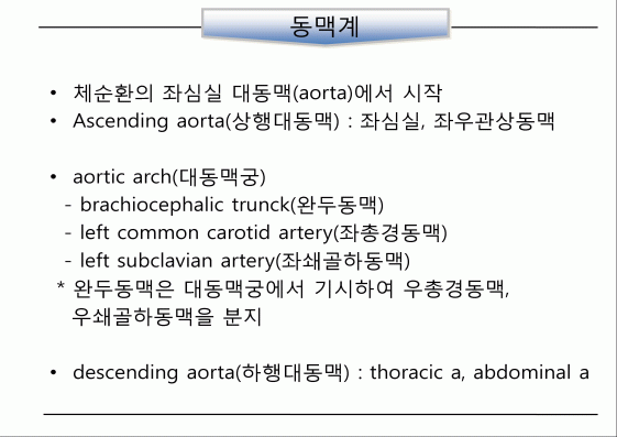 순환기계2 레포트 자료