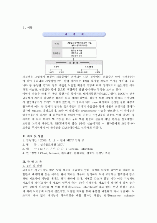 뇌경색 case study [논문]