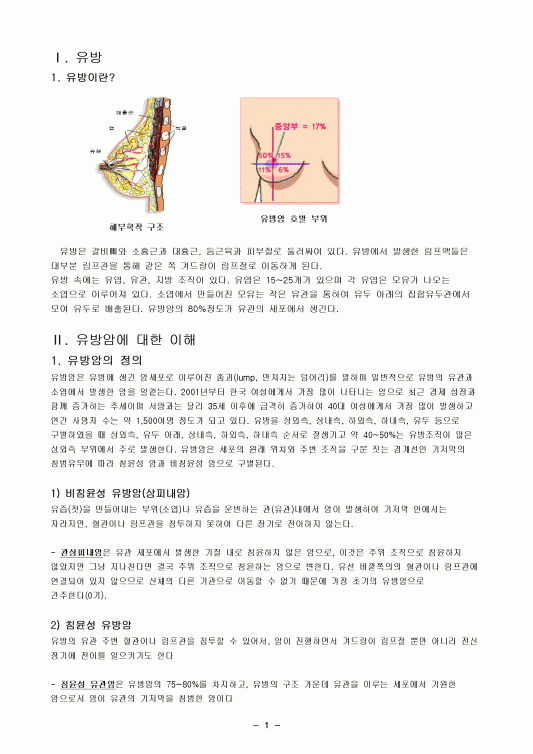 유방암 문헌고찰 눈빠지게 정리했습니다 사진有