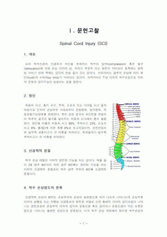 spinal cord injury(SCI, 척수손상) 문헌고찰