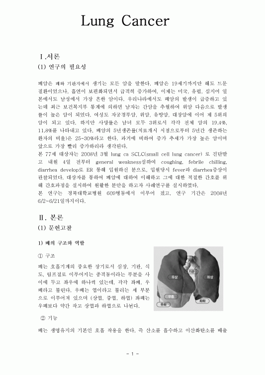 폐암에 대한 케이스스터디