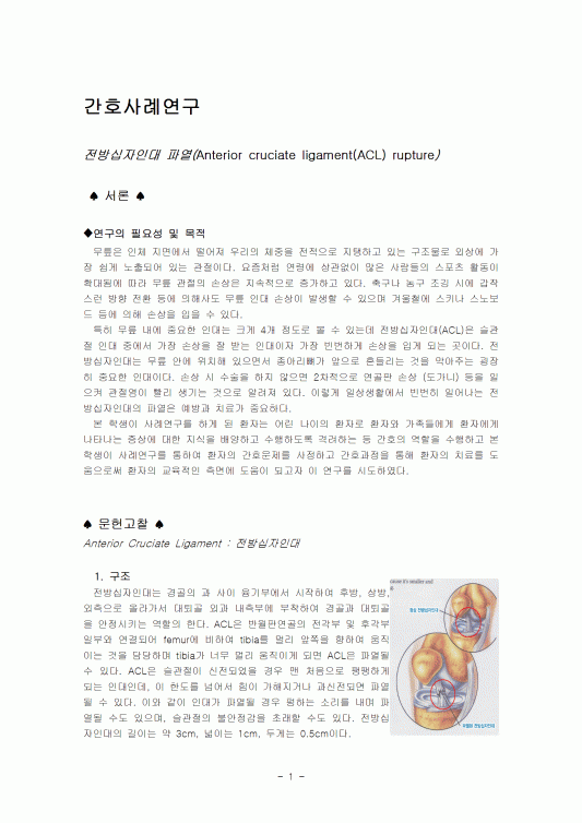 전방십자인대 파열(Anterior cruciate ligament(ACL) rupture) case study