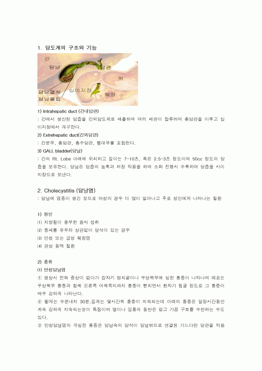 담낭(담낭염) 레포트 자료
