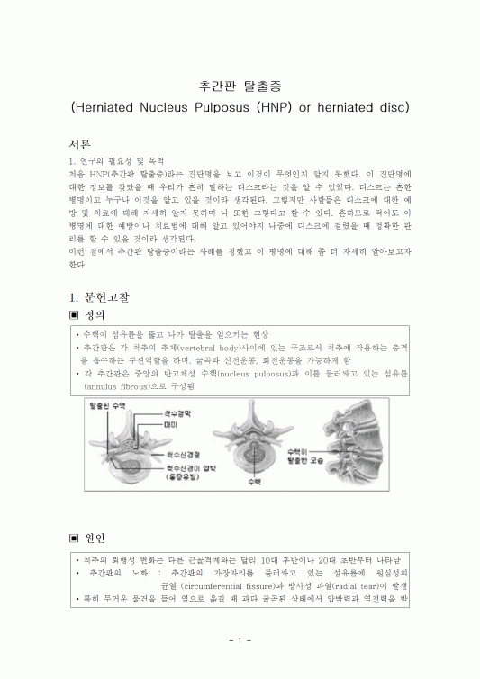 HNP(추간판 탈출증) case study